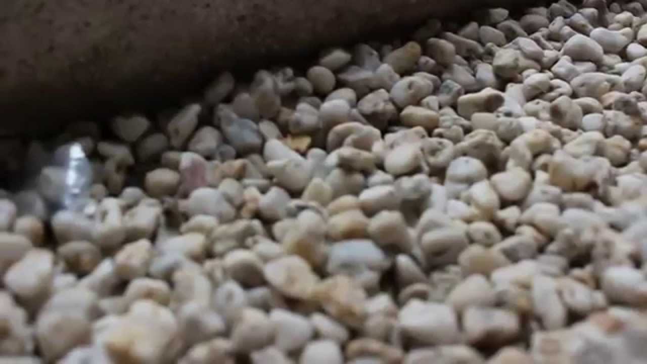 Cracking the Color Code