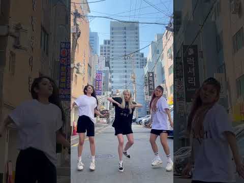 X:IN (엑신) - Songs, Events and Music Stats | Viberate.com