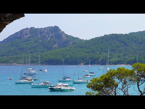 Destination Porquerolles, Bateliers de la Côte d'Azur
