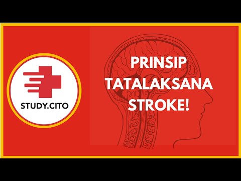 CITO Free Class - Prinsip Tatalaksana Stroke!