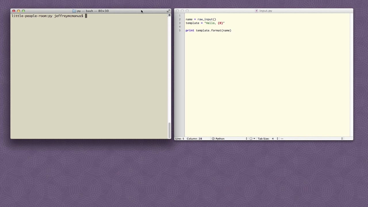 CodeLesson Handling User Input in Python