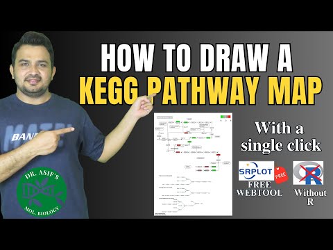 How to draw a KEGG pathway map