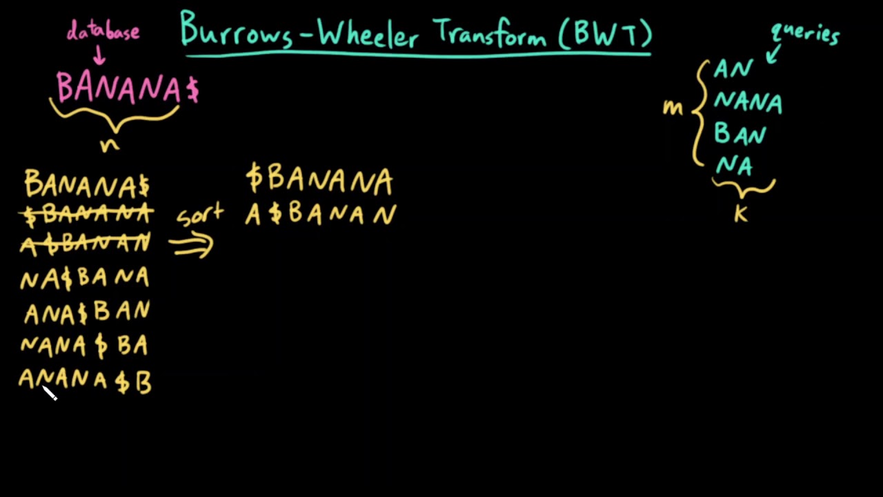 Advanced Data Structures: Burrows-Wheeler Transform (BWT)