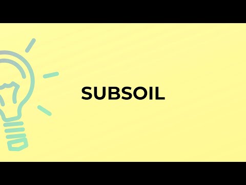 What is the meaning of the word SUBSOIL?