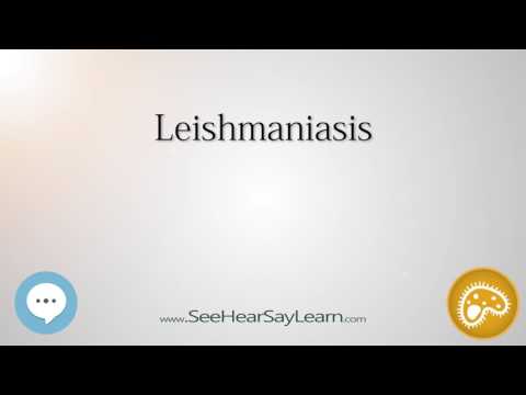 Leishmaniasis π