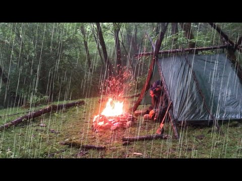 solo camping in Heavy Rain | No Tent, No Sleeping Bag – Forest Survival and bushcraft alone!