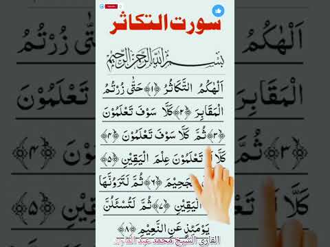 Short but Powerful 💥 | Surah At-Takathur Recitation. #QuranRecitation #SurahAtTakathur #Islamics