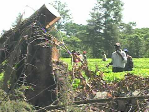 New Constitution Means Major Changes for Kenya