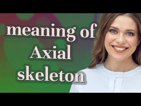 Axial skeleton | meaning of Axial skeleton