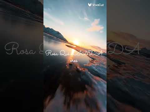 traducción en inglés de Rosa qué linda eres ❤️❤️