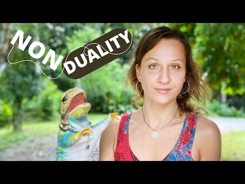 What Is Nonduality? Explained Beyond Words (Introducing Speedy!)