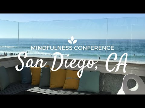 Social Work Trip || Mindfulness Conference