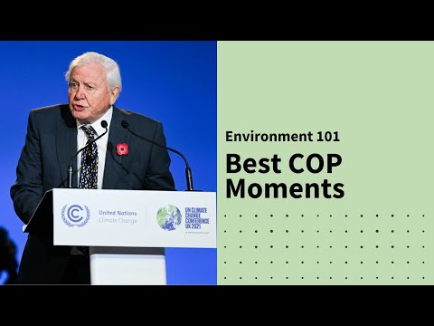 Conference of the Parties (COP) | Environment 101 | CSCEN