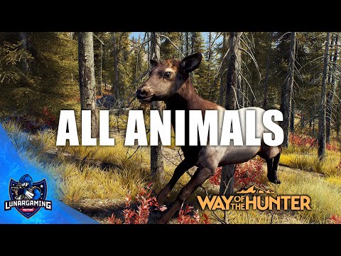 Way of The Hunter Animals - How To Find and Hunt All 14 Animals