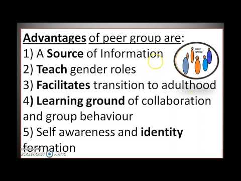 What is a peer group and peer learning group?