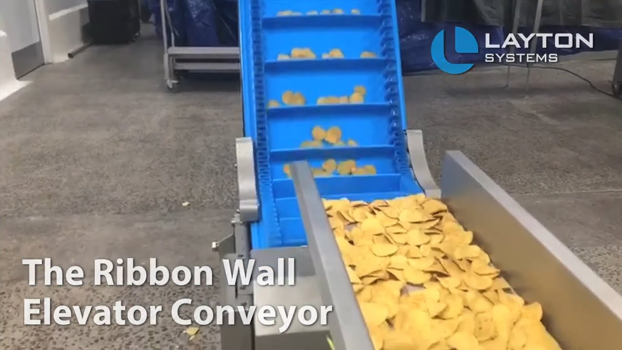Layton Ribbon Wall Elevator Conveyor