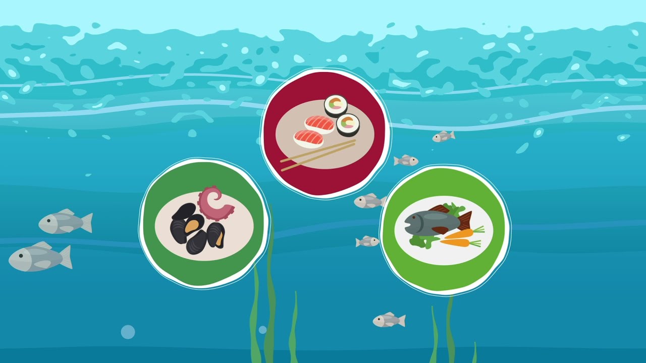 Circular Aquaculture by EIT Food #AnnualFoodAgenda