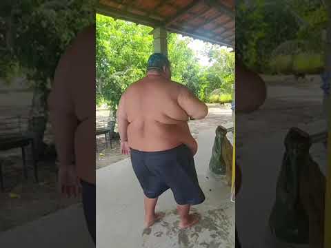 Roça e forró 😎
