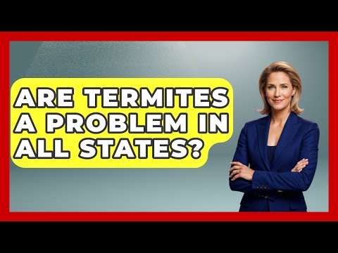 Are Termites A Problem In All States? - Insects and Invaders