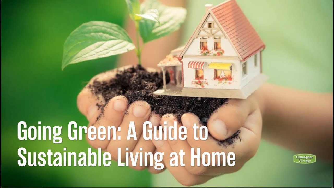 Going Green: A Guide to Sustainable Living at Home