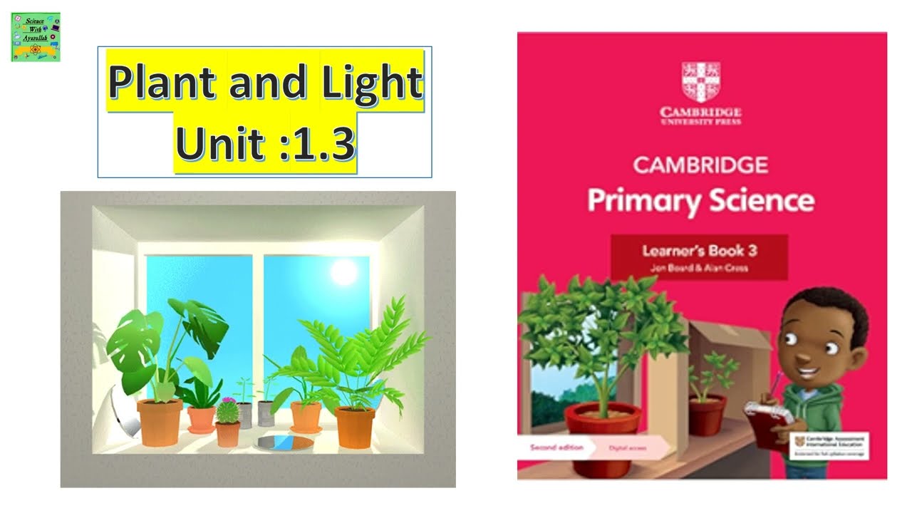 Plant and Light| Cambridge primary science grade3  Unit 1.3| Cambridge University Press