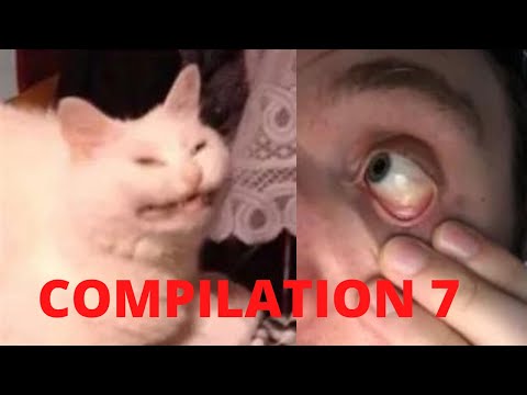 MEMES COMPILATION 7 if you laugh your brain is fried