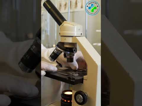 Adjust Microscope | how to fix and focus Slide | how to use microscope |Focusing Slide on Microscope