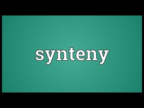 Synteny Meaning