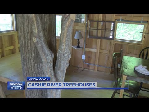 Windsor Tree Houses Living Local