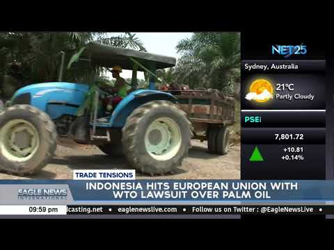 Indonesia hits European union with WTO lawsuit over palm oil