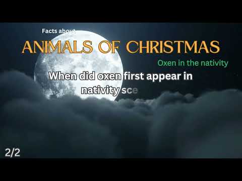 Christmas Animal Fact 4 - Oxen in the nativity