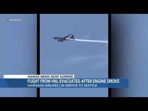 Passengers, crews evacuated as smoke grounds Hawaiian Airlines plane
