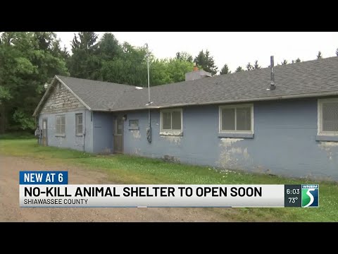 Help needed to open Shiawassee Co. animal shelter