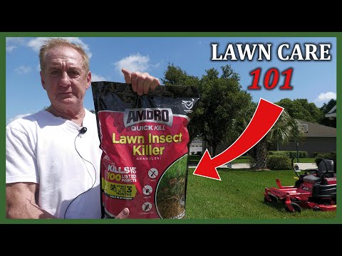 Lawn Care 101 | For Central Florida | With Ira Miller