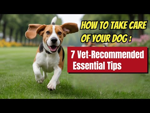 5 Holistic Vet Secrets To Boost Your Pet's Health! #PetHealth