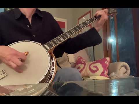 1976 Ibanez Artist banjo for sale