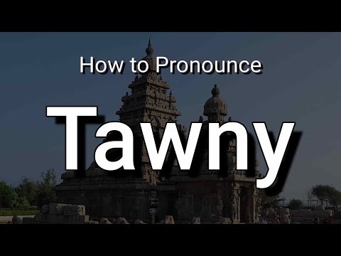 Tawny: Pronunciation and Meaning