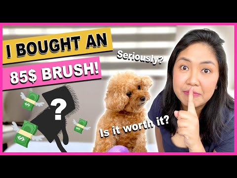 BEST BRUSH FOR POODLES?| Unboxing the Chris Christensen Big G Slicker Brush| The Poodle Mom