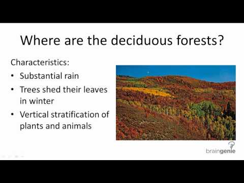 18.1.5 Where are the deciduous forests