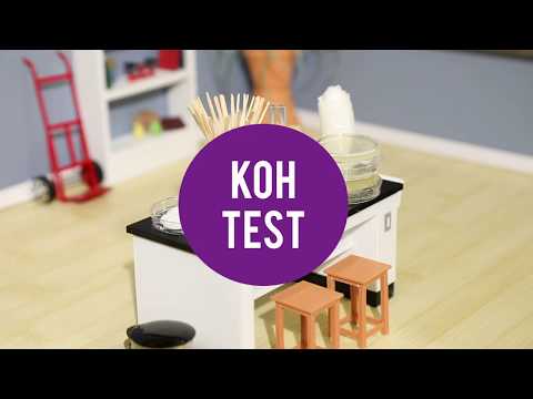 MicroLab - KOH Test