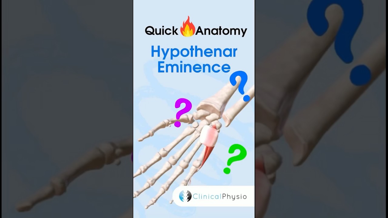 Hypothenar Eminence #physiotherapy #physicaltherapy #anatomy