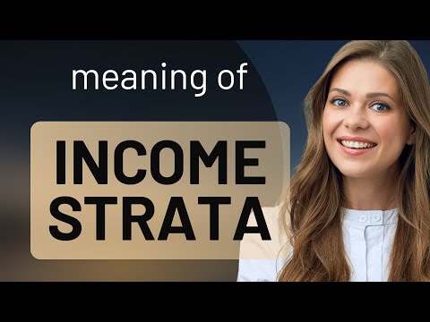 Understanding "Income Strata": A Guide for English Learners