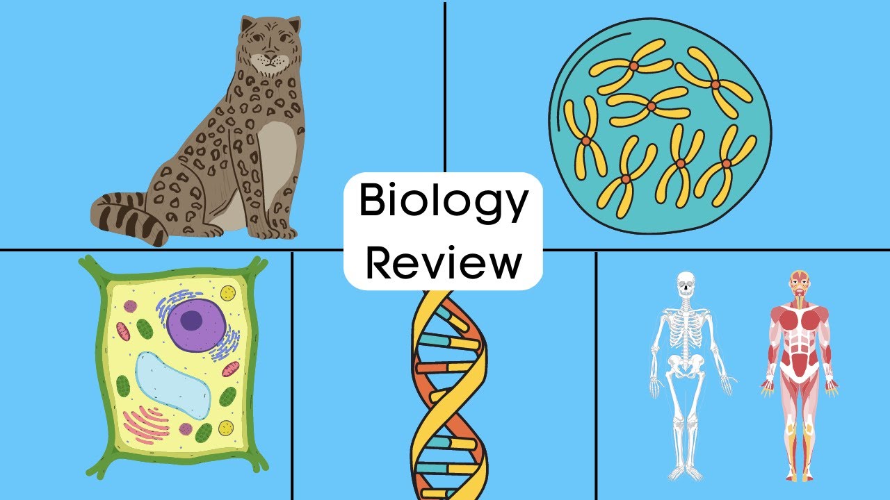 Life Science and Biology Year in Review - Cells-Genetics-Evolution-Symbiosis-Biomes-Classification