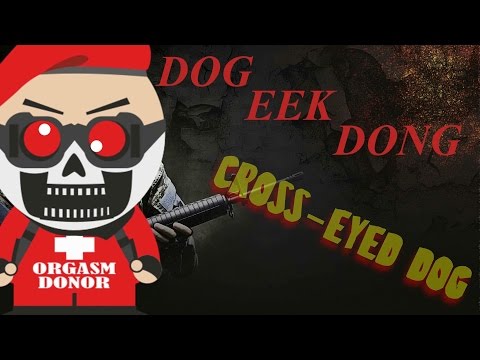 Steam Community :: Video :: Dog-eek-Dong! №2 [cs go]