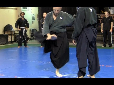 Ninjutsu Kicks | AKBAN