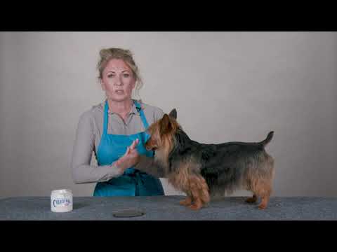 Chris Christensen Terrier Palm Pad