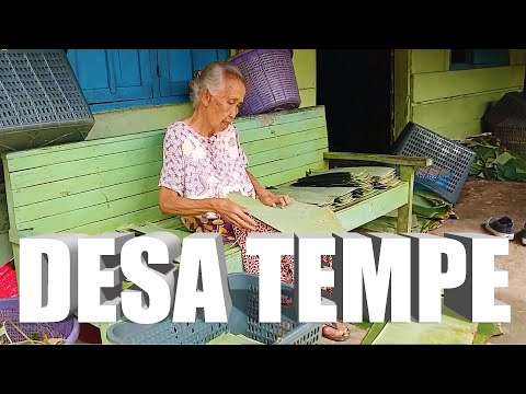 KERAH BIRU: DESA PERAJIN TEMPE DIPESAN PRESIDEN SAMPAI DIKIRIM KE JERMAN