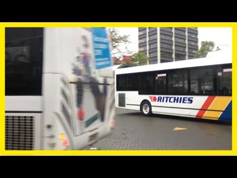 Inaccurate dunedin bus timetables fixed
