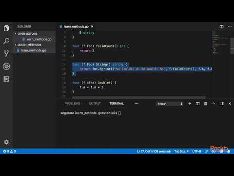 Learn Learn Go in 3 Hours Methods|packtpub com - Mind Luster