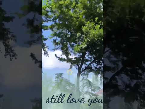 #shorts Still love you #leehonggi #yoohweseung #song